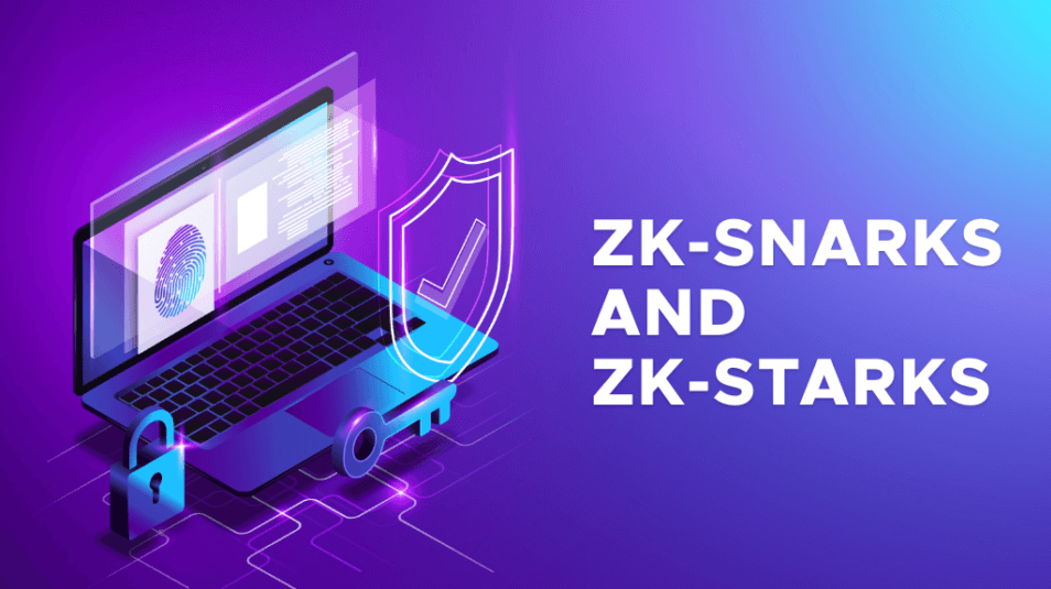 Comprehensive understanding zk-SNARKs and zk-STARKs